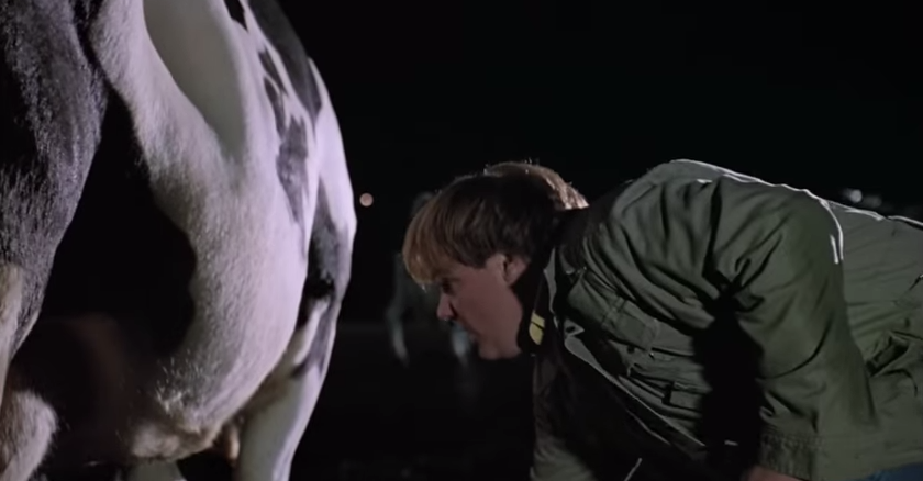 Please do not tip the cows | The Farmers in the Dell