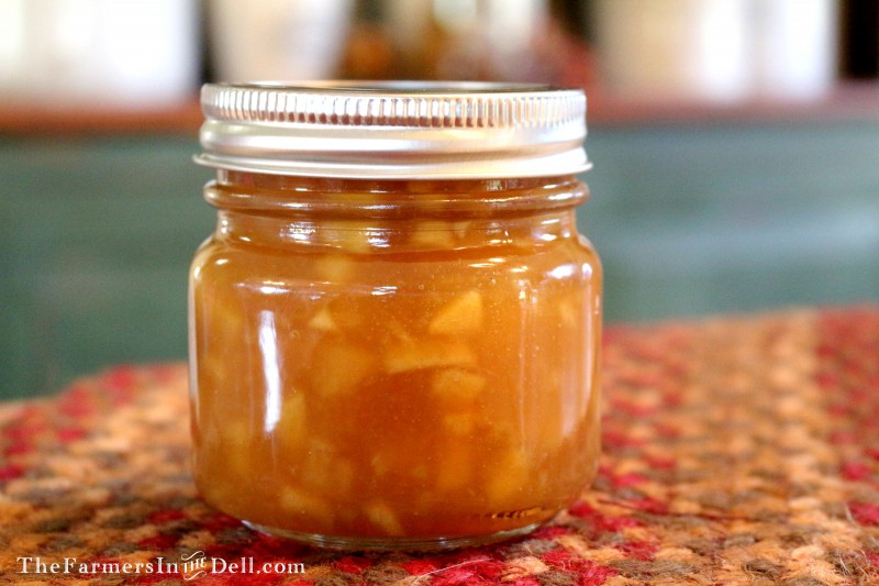Caramel apple jam recipe | The Farmers in the Dell